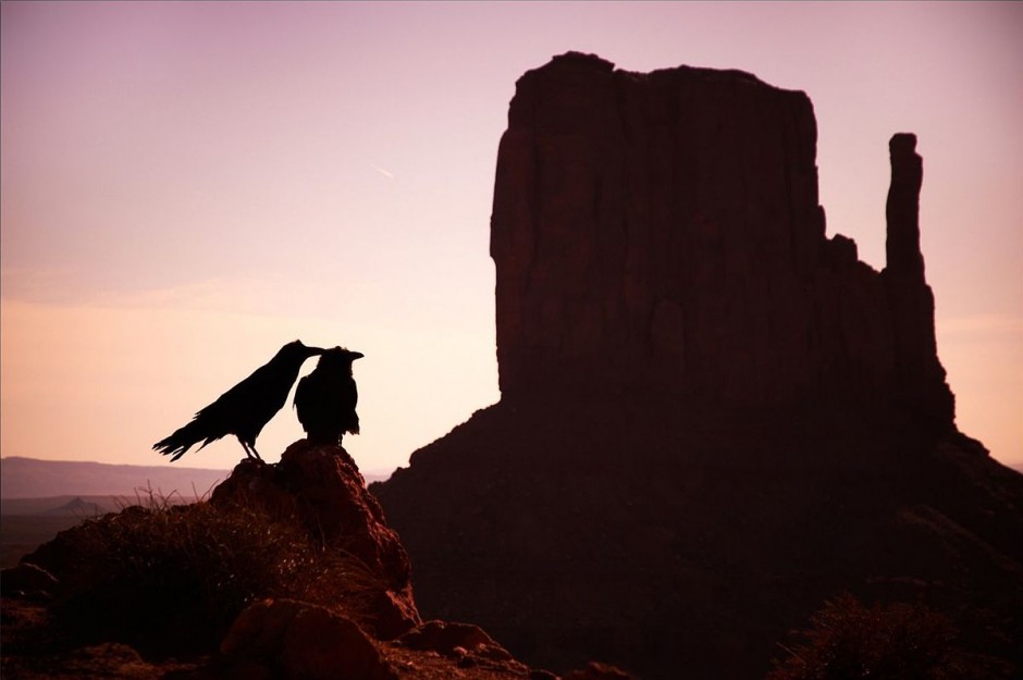 Visit the Grand Canyon - Top Places to See in Arizona