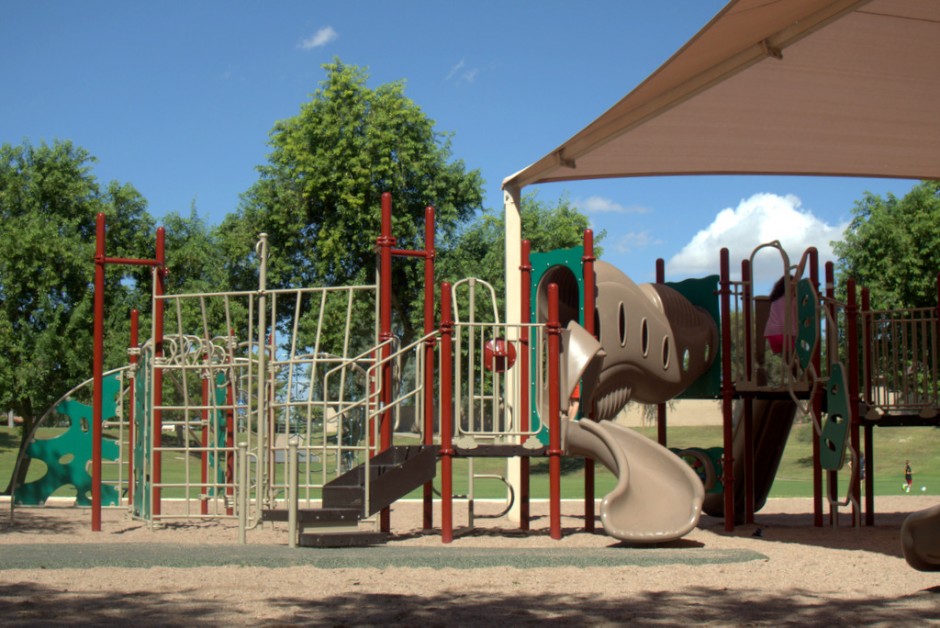 Cactus Park - Top Places to See in Arizona