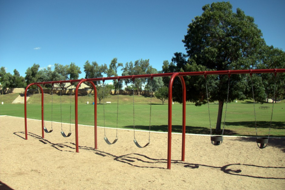 Cactus Park - Top Places to See in Arizona